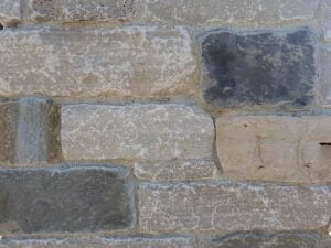 Ledgestone - Cougar Stone